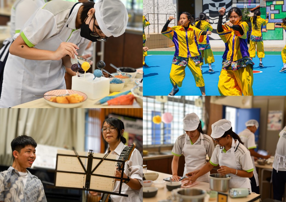 Applied Learning Programme (ALP) – Aesthetics